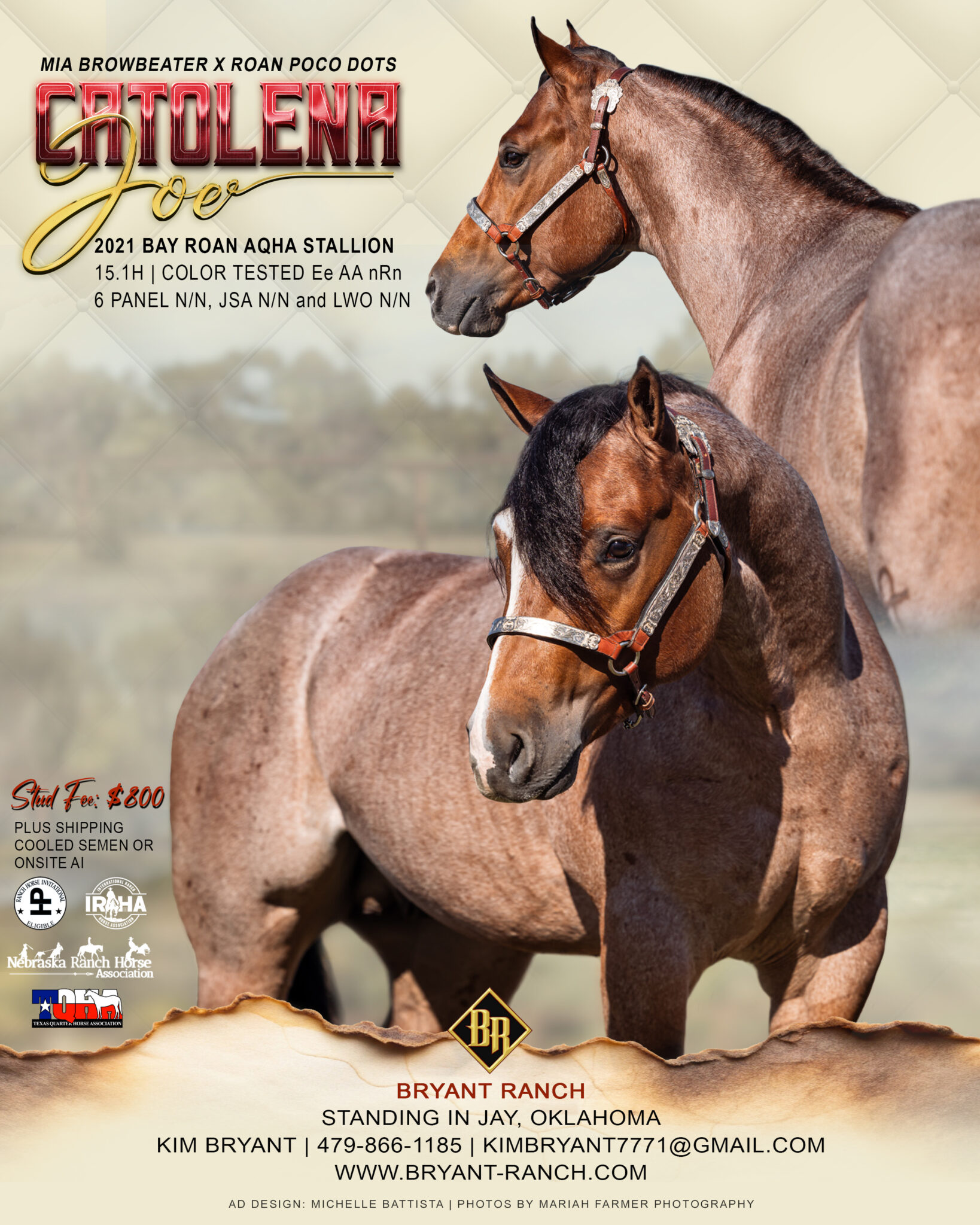 Catolena Joe – Bryant-Ranch