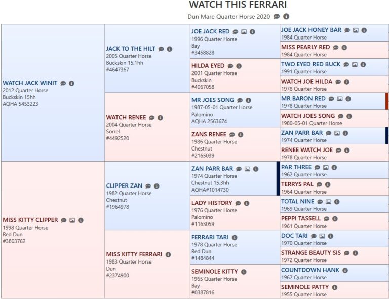 Watch This Ferrari – Bryant-Ranch