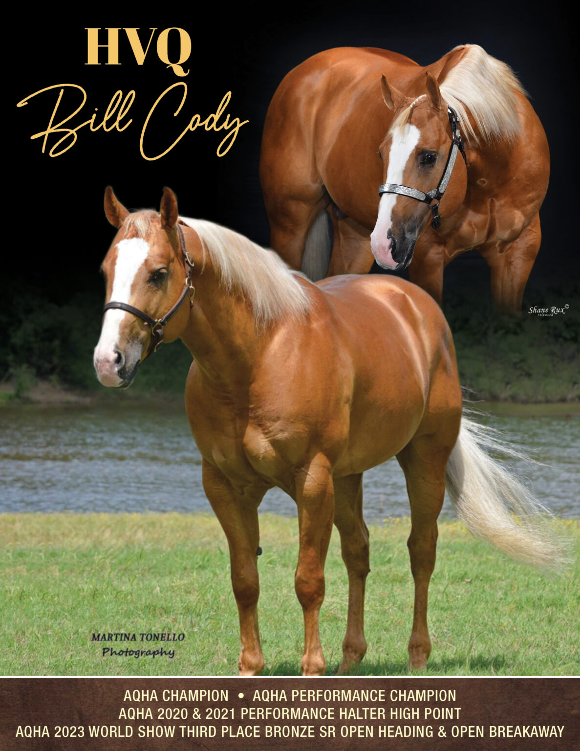 HVQ Bill Cody – Bryant-Ranch