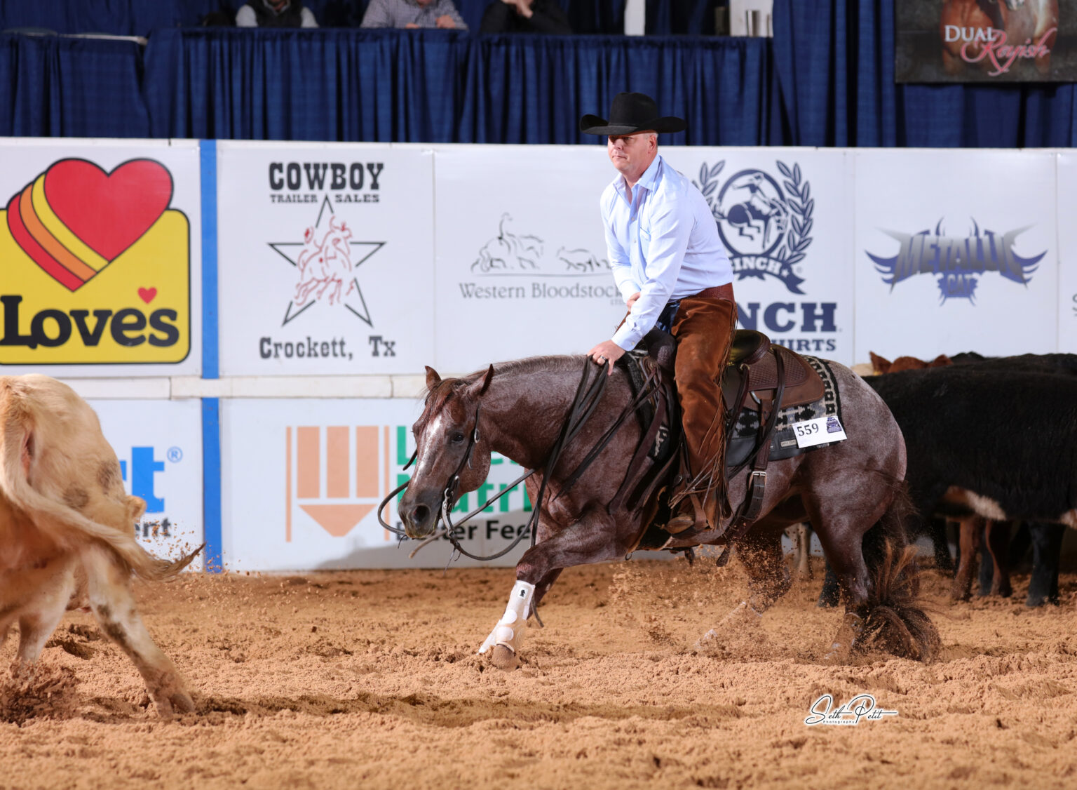 Stevie Rey Boon – Bryant-Ranch