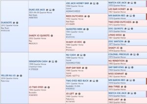 Nu Duki Jo – Bryant-Ranch