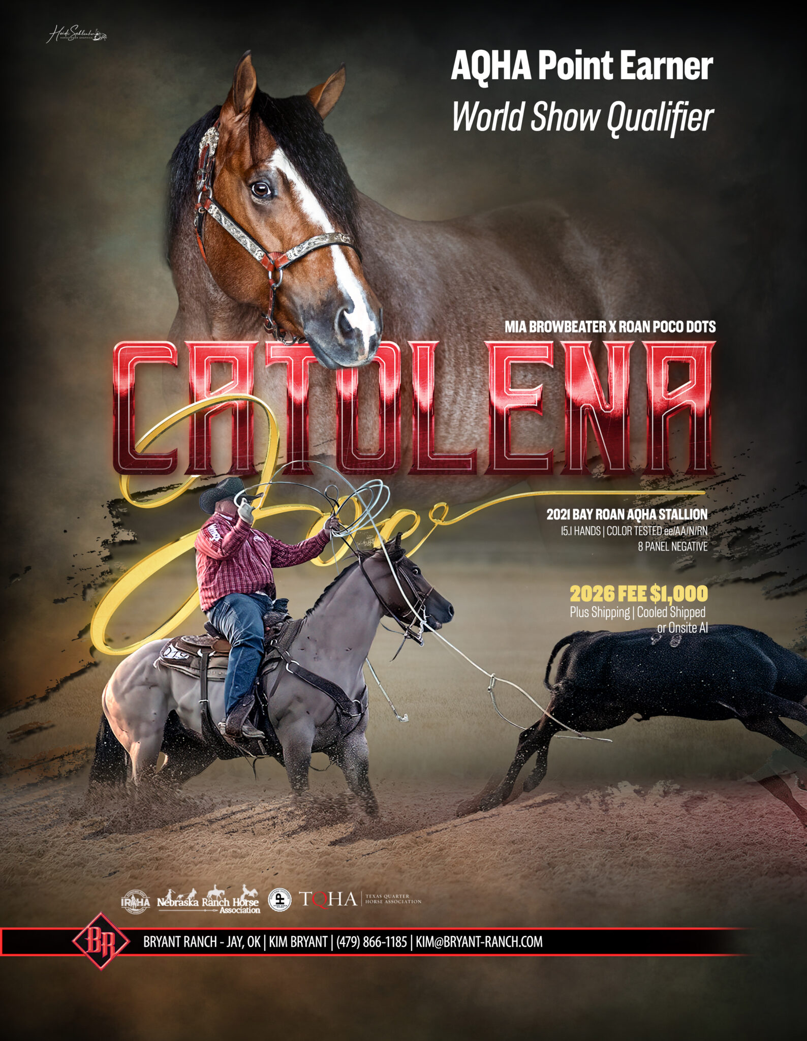 Catolena Joe – Bryant-Ranch